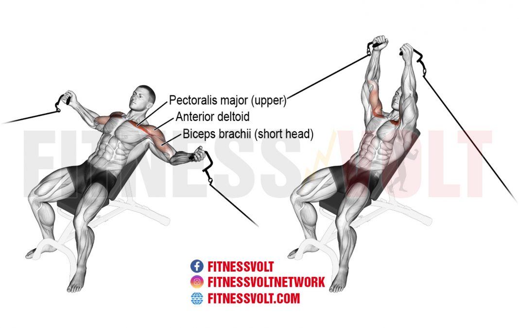 The 12 Best Cable Crossover Alternatives – Fitness Volt