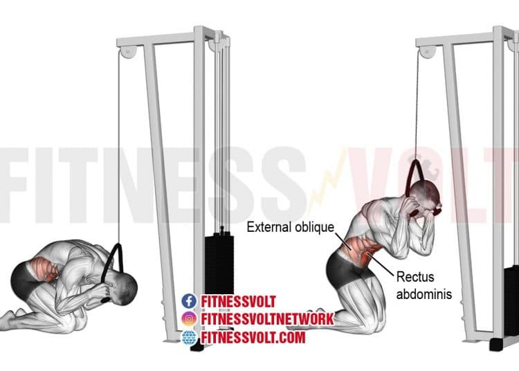 High Cable Cross-over (Chest) – Fitness Volt