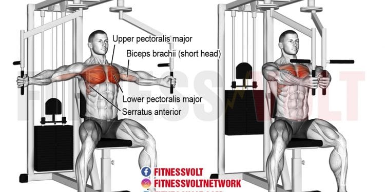 Exercise Guides Archives – Page 28 of 30 – Fitness Volt