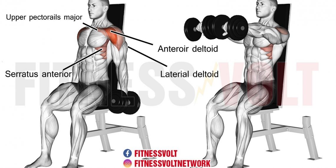 Shoulders Archives – Page 3 of 3 – Fitness Volt
