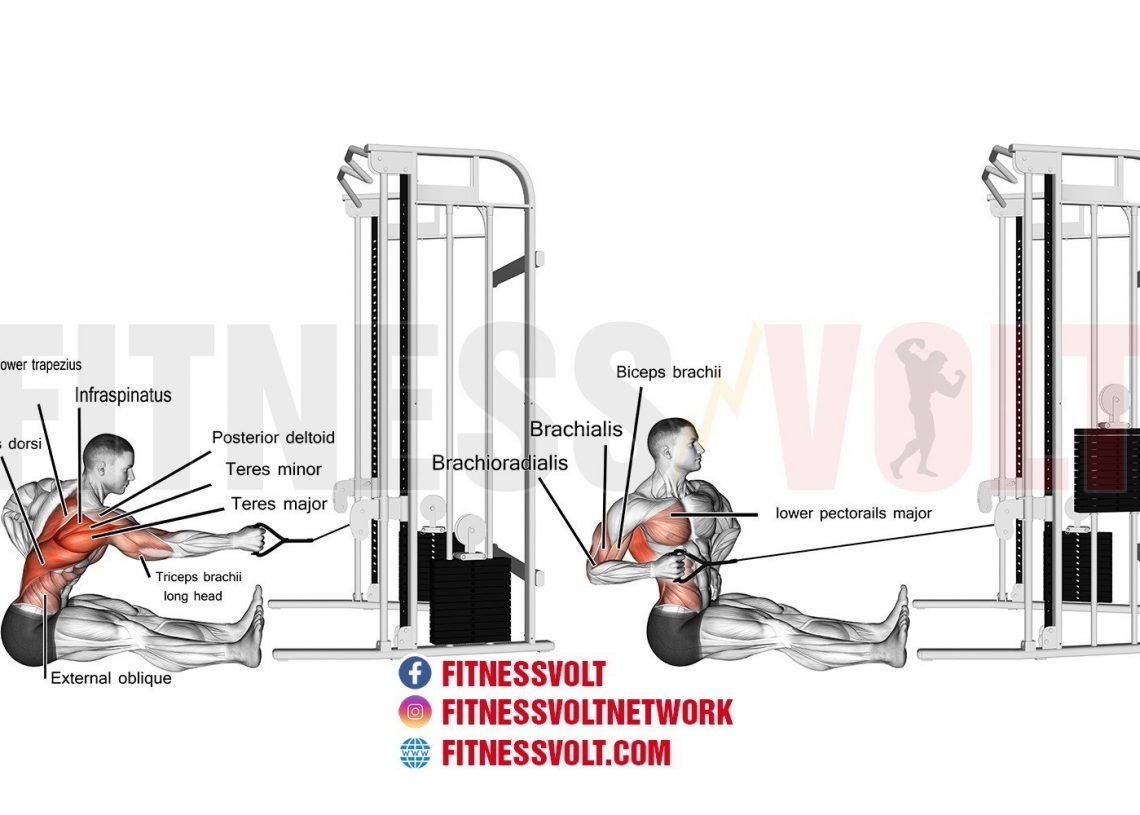 High Cable Cross-over (Chest) – Fitness Volt