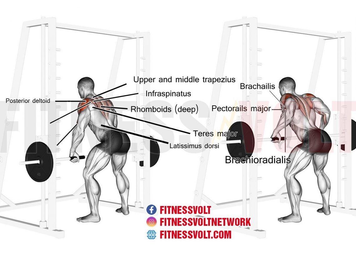 The 18 Best Smith Machine Exercises – Fitness Volt