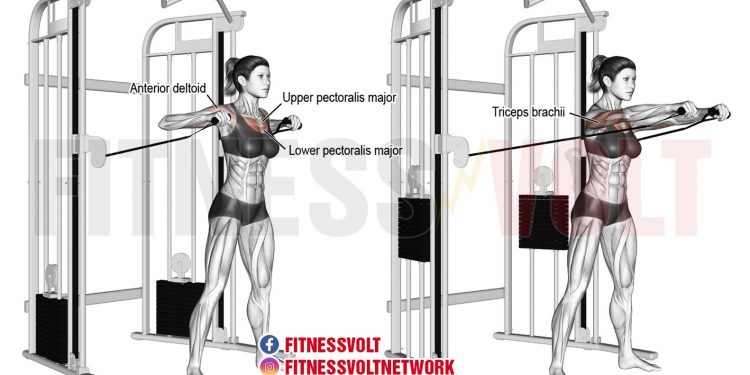 Exercise Guides Archives – Page 10 of 15 – Fitness Volt