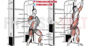 Shoulders Archives – Fitness Volt