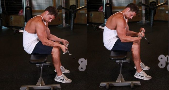 Super Massive Forearms Aren’t Just A Dream Anymore! – Fitness Volt