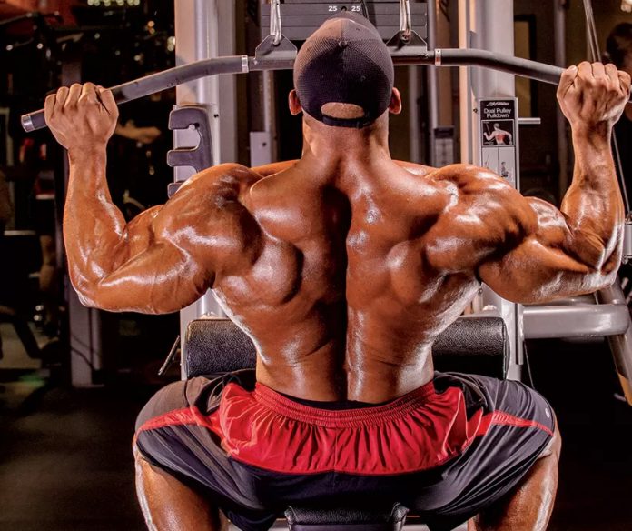 15 Best Back Exercises For Bigger, Stronger And Pain-Free Back