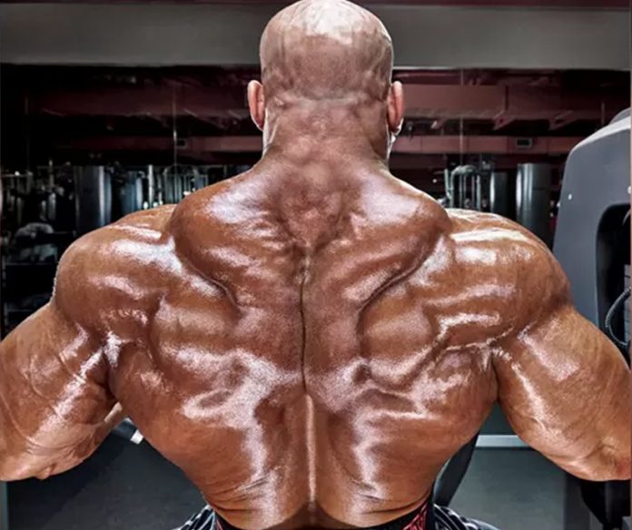 How Did Big Ramy Build His Monstrous Wide Back – Fitness Volt