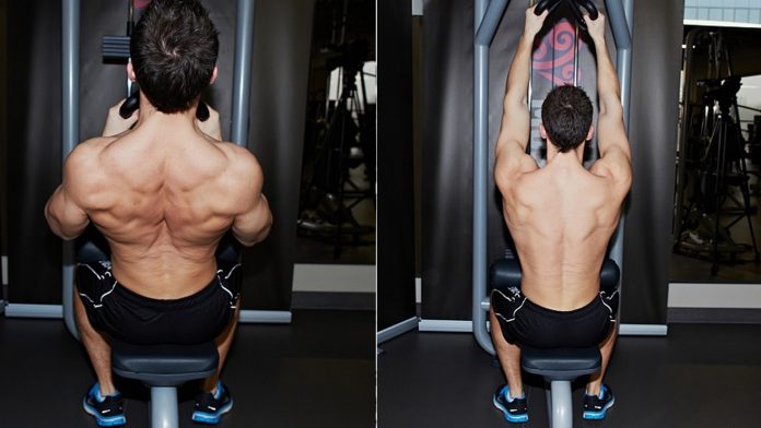 10 Growth-Inducing Back Exercises To Add To Your Arsenal – Fitness Volt