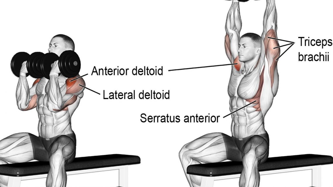How To Build Bigger Delts: The Top 7 Shoulder Workouts For Men ...