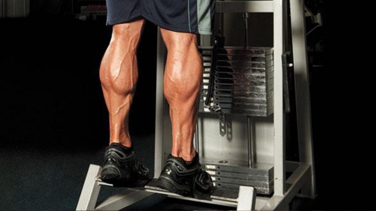 The Best Exercises and Stretches for Leg Pain – Fitness Volt