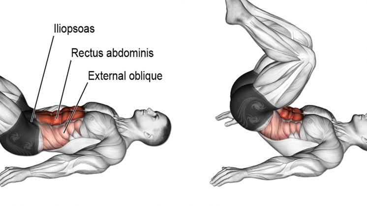 6 Best Lower Ab Exercises For Your Core Workouts – Fitness Volt