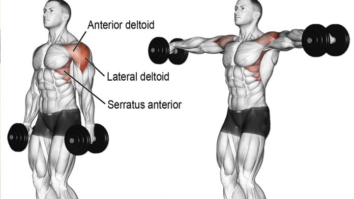 How To Build Bigger Delts: The Top 7 Shoulder Workouts For Men ...