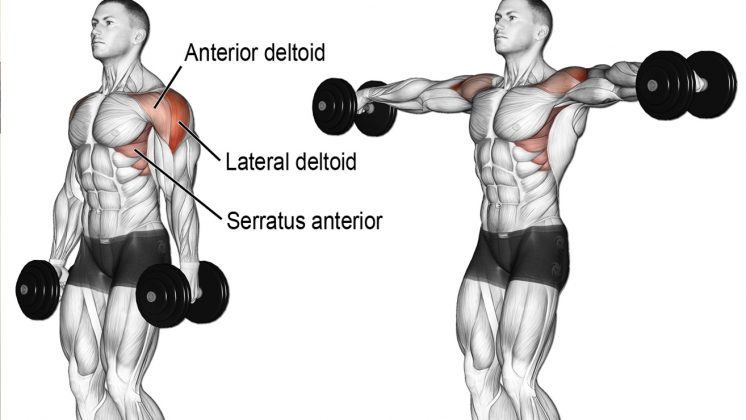 How To Build Bigger Delts: The Top 7 Shoulder Workouts For Men ...