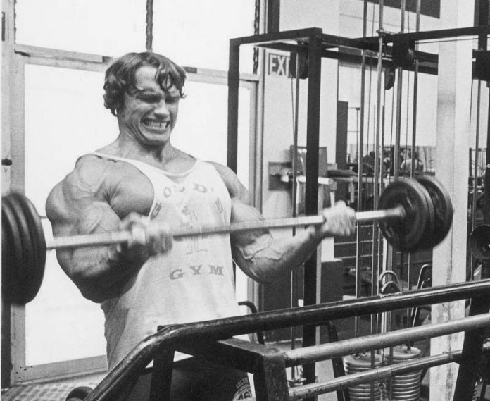 Arnold Schwarzenegger's 6-Day Split: Are You Terminator Tough?