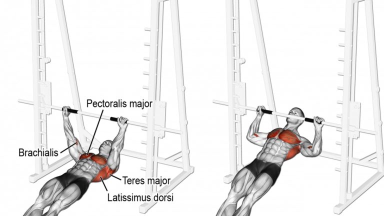 6 Must-Have Pull-Up Variations for Killer Lats – Fitness Volt
