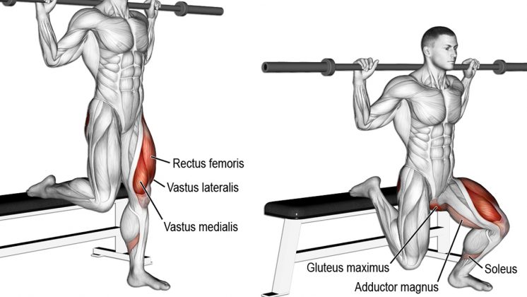 6 Effective Barbell Deadlift Substitutes That Can Still Provide Awesome ...