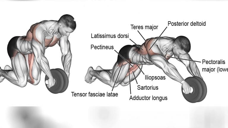 10 Best Ab Rollout Alternatives – Fitness Volt