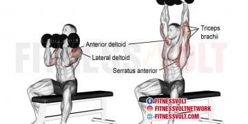 Shoulders Archives – Fitness Volt