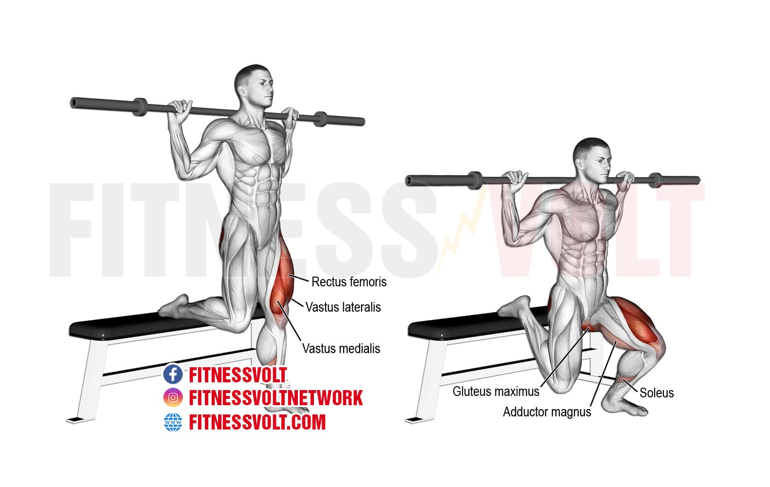 How To Do Barbell Bulgarian Split Squat Legs Fitness Volt How To Do Barbell Bulgarian Split Squat Legs Fitness Volt