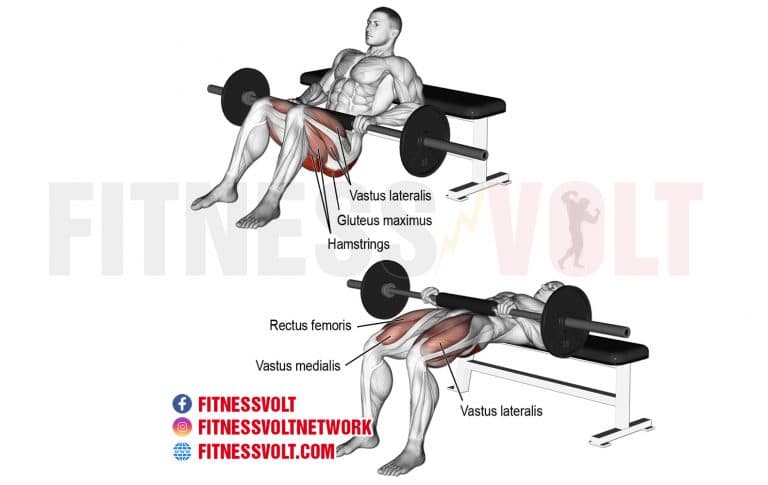 The 5 Best Hip And Butt Exercises – Fitness Volt