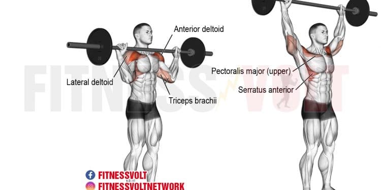 Shoulders Archives – Page 8 of 9 – Fitness Volt