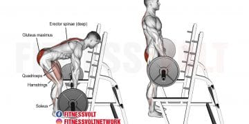 Back Archives – Fitness Volt