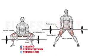 The 4 Amazing Benefits of the Sumo Deadlift – Fitness Volt