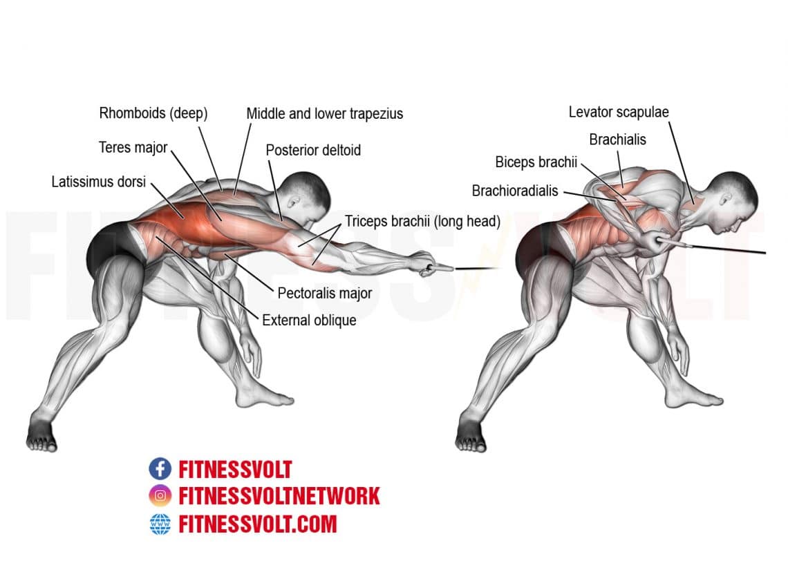 High Cable Cross-over (Chest) – Fitness Volt