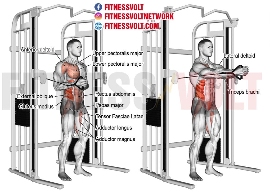Renegade Rows – Muscles Worked, How-To, Benefits, and Alternatives ...