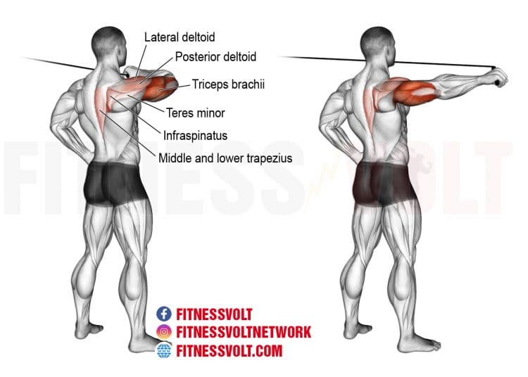 High Cable Cross-over (Chest) – Fitness Volt