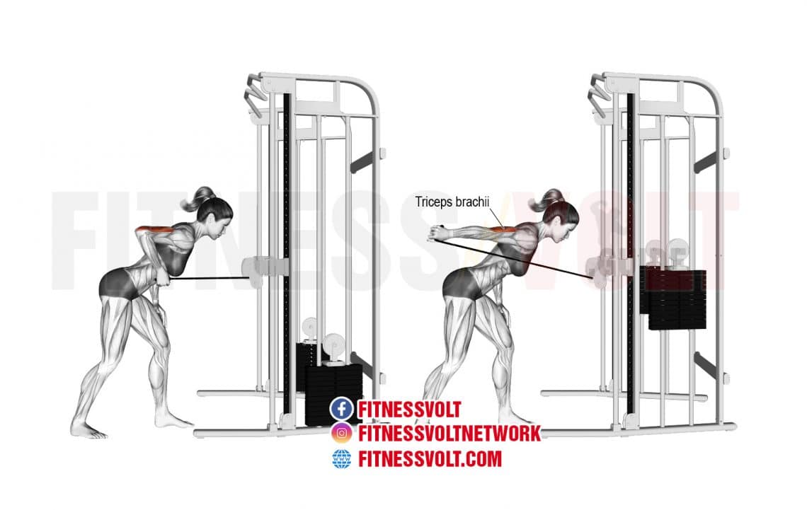 20 Best Upper Body Exercises For Strength and Muscle Gains – Fitness Volt