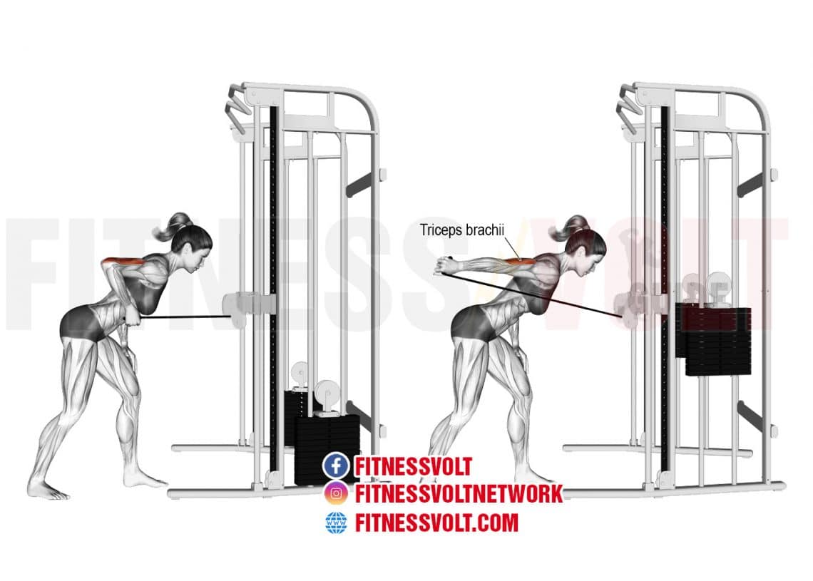 High Cable Cross-over (Chest) – Fitness Volt