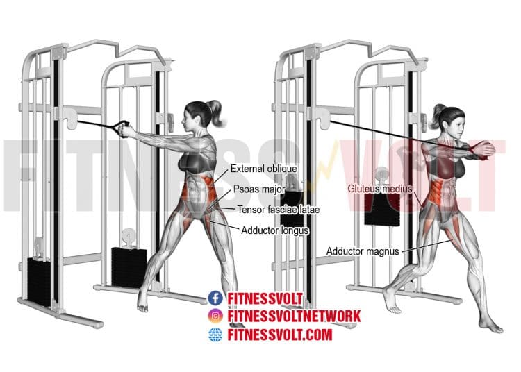 High Cable Cross-over (Chest) – Fitness Volt