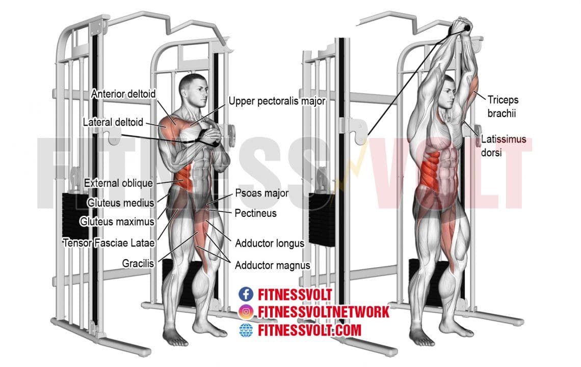 Pallof Press — Benefits, Muscles Trained, Exercise Instructions, Variations