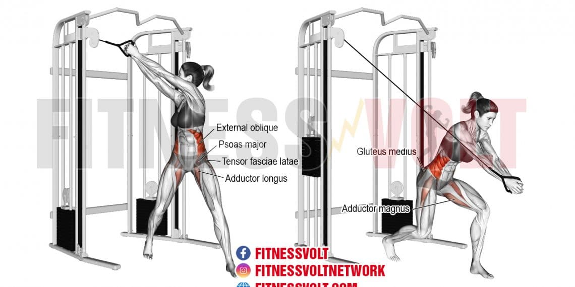 Core Archives – Page 3 of 4 – Fitness Volt