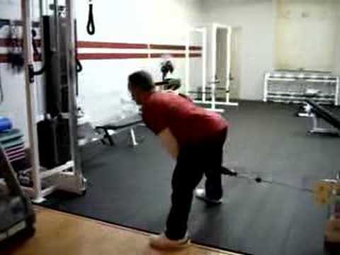 Straight-Leg Cable Pull-Through (Hamstrings, Glutes) – Fitness Volt