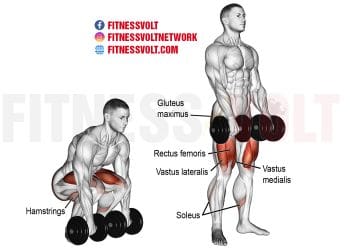 Mastering The Deadlift: Resources for Safe and Effective Deadlifting