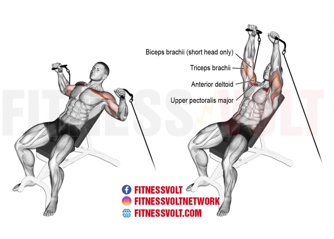 High Cable Cross-over (Chest) – Fitness Volt