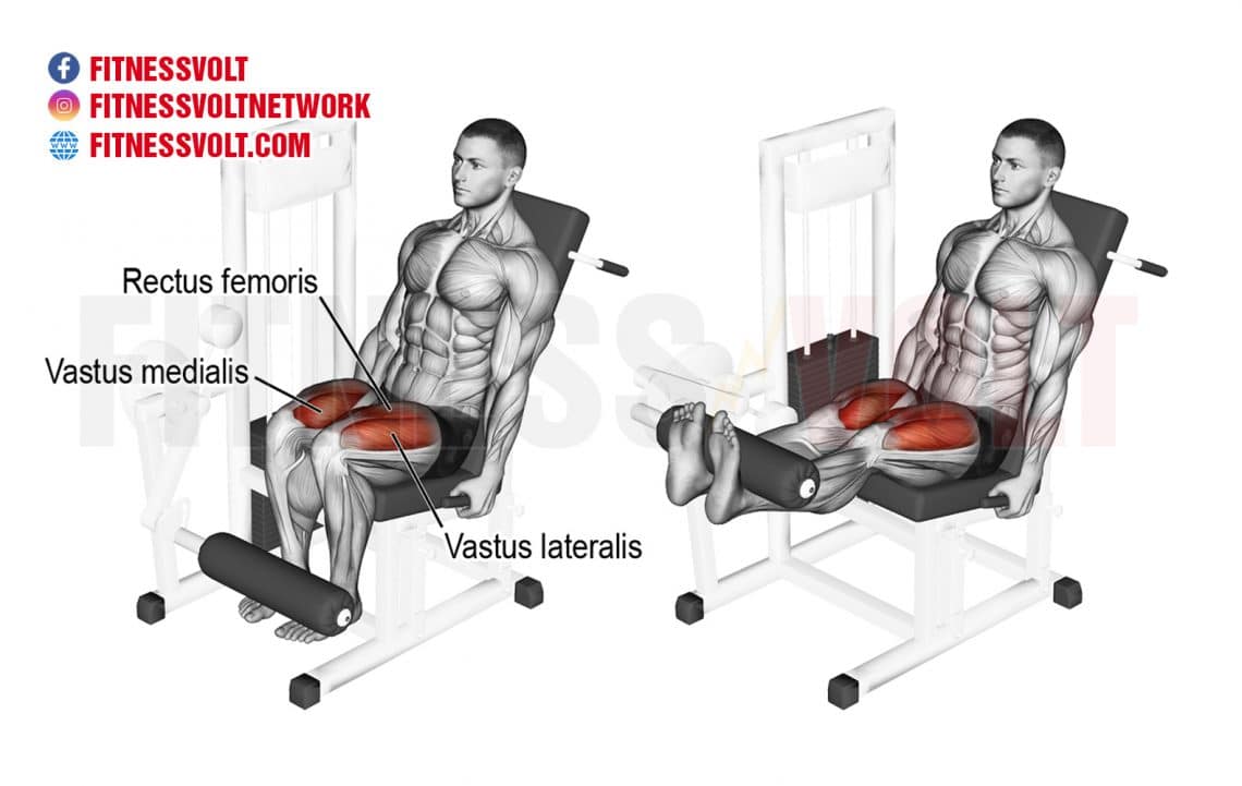 The Best Leg Day Workouts for Bigger, Stronger, Better Toned Legs ...