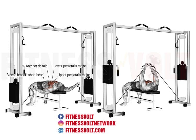 High Cable Cross-over (Chest) – Fitness Volt