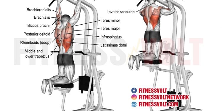 Back Archives – Page 2 of 4 – Fitness Volt