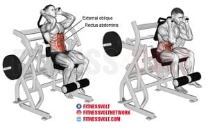 Machine Leg Raise Crunch (Abdominals) – Fitness Volt