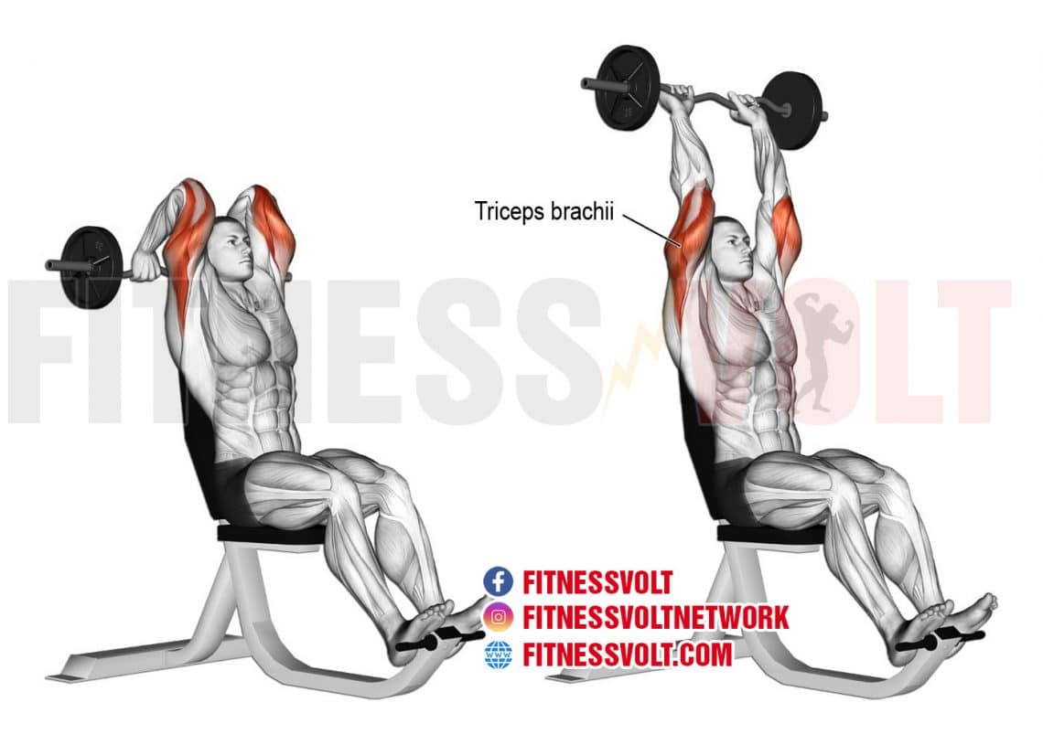 High Cable Cross-over (Chest) – Fitness Volt