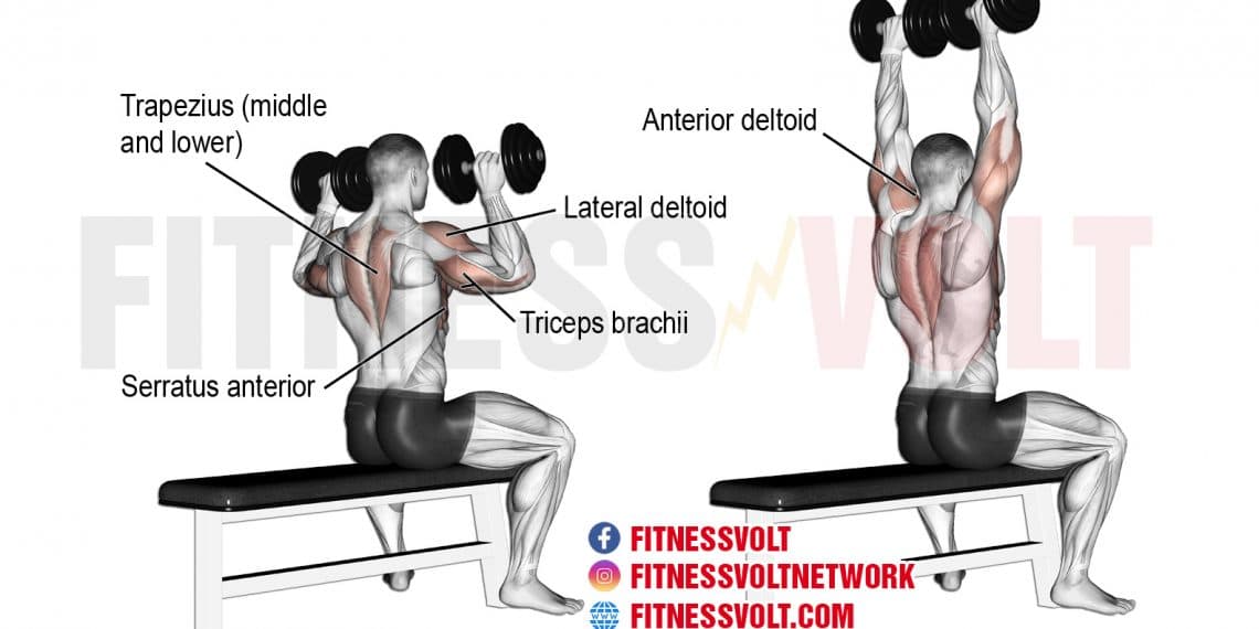 Shoulders Archives – Page 2 of 3 – Fitness Volt