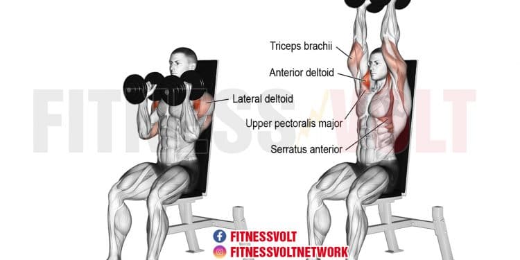 Shoulders Archives – Page 8 of 9 – Fitness Volt