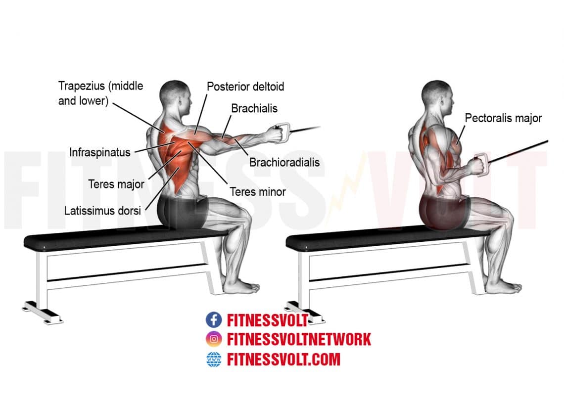 High Cable Cross-over (Chest) – Fitness Volt