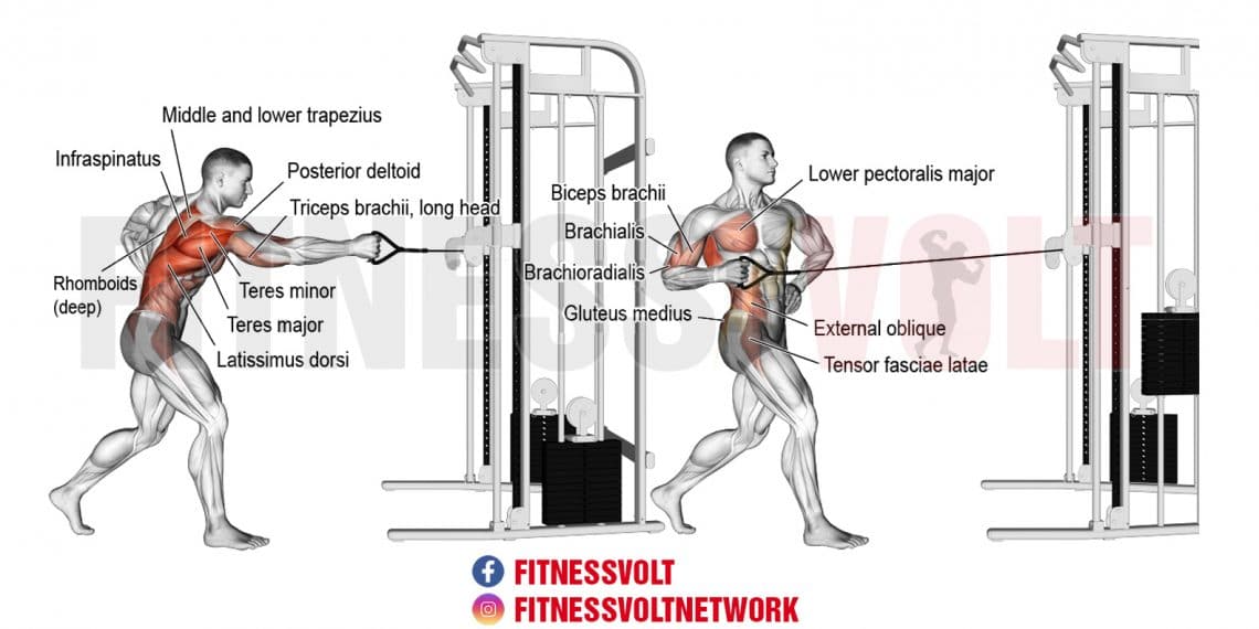 Exercise Guides Archives – Page 5 of 15 – Fitness Volt