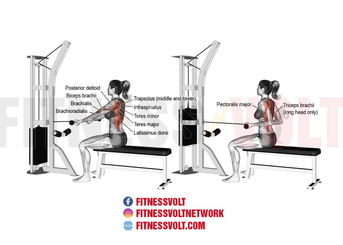 High Cable Cross-over (Chest) – Fitness Volt