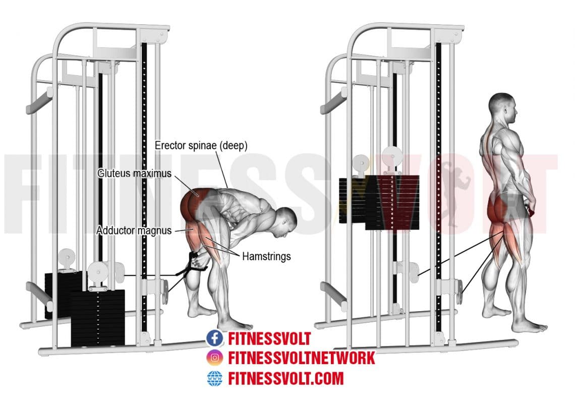 High Cable Cross-over (Chest) – Fitness Volt