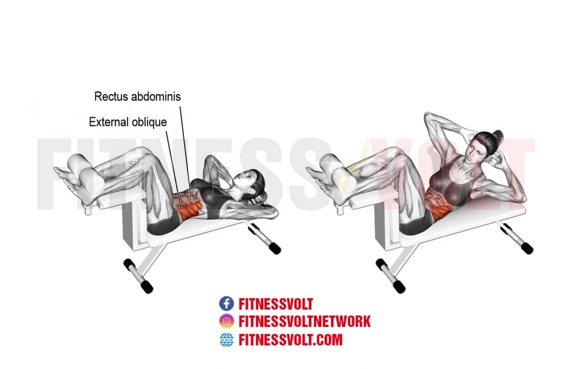 Twisting Crunch (Abdominals, Obliques) – Fitness Volt